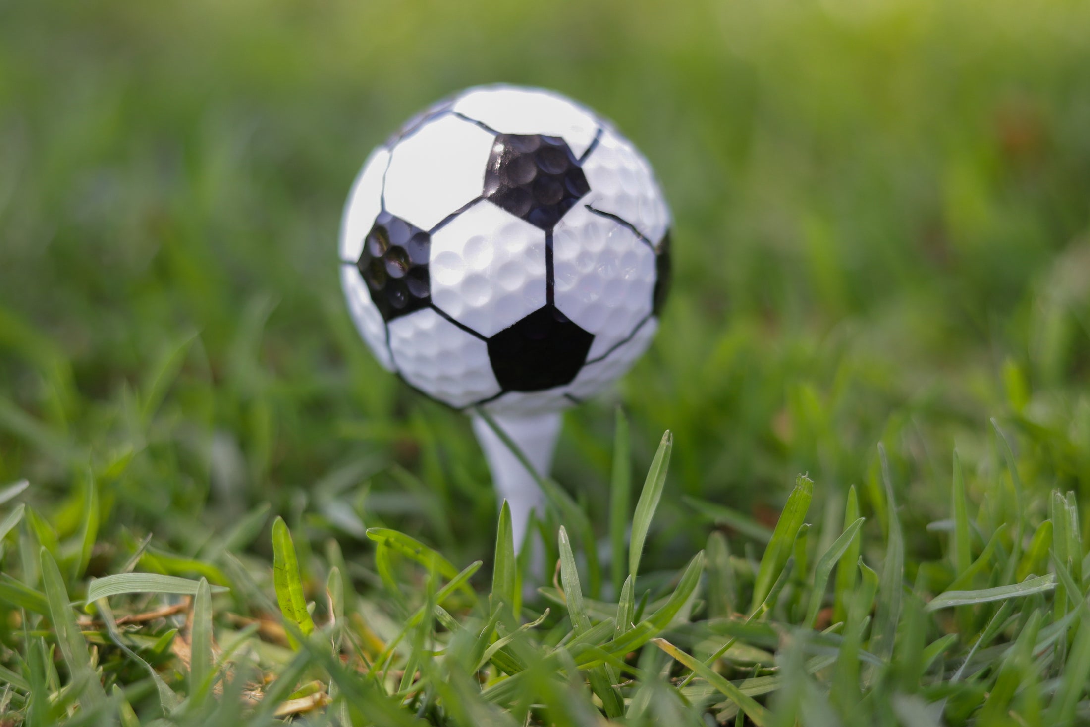 Novelty Mini Golf Balls – Mini Golf Supplies Australia