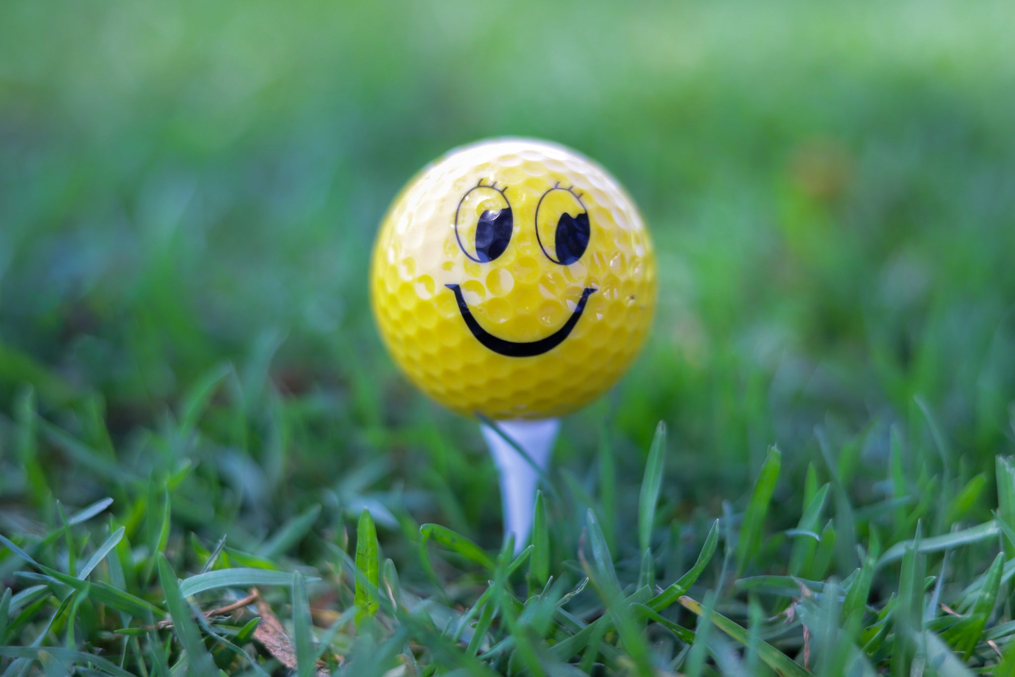 Novelty Mini Golf Balls – Mini Golf Supplies Australia